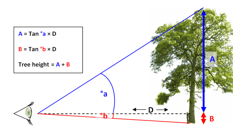 How To Find Height In Trigonometry Height Of Triangle